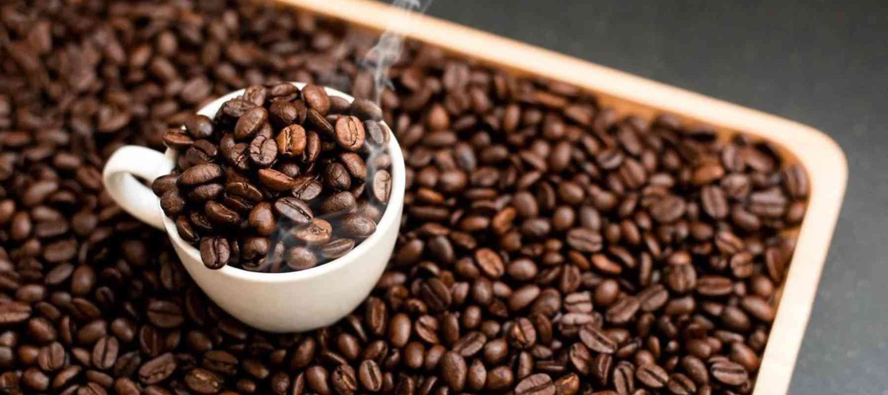 Dancing Moon Coffee Company – Dancing Moon Coffee Co.